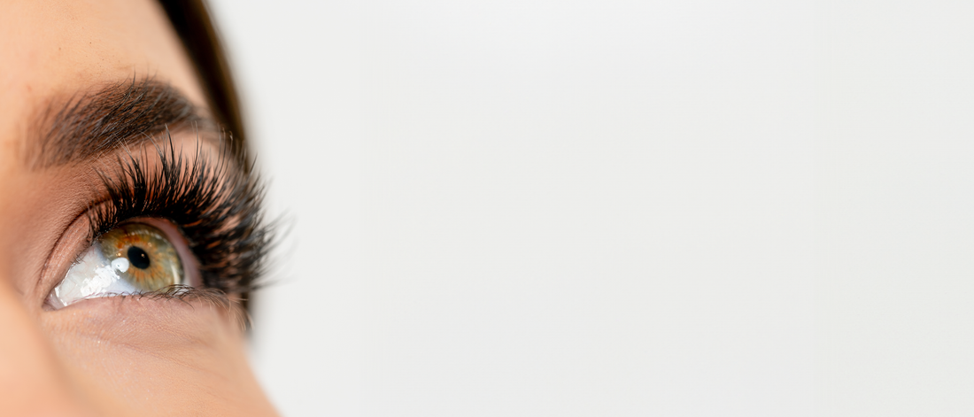 Classic Collection – Pro Lash USA